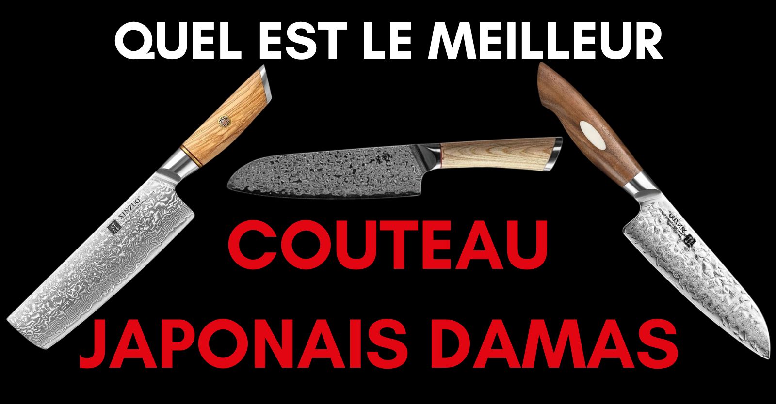 Quel est le meilleur couteau japonais Damas